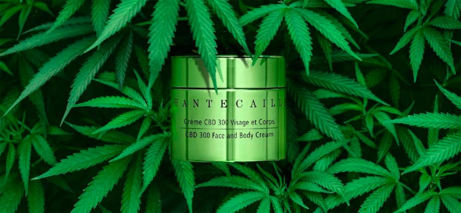 8 Best CBD Face Creams of 2025 Reviews: ️ Anti Aging CBD Cream for Face ...